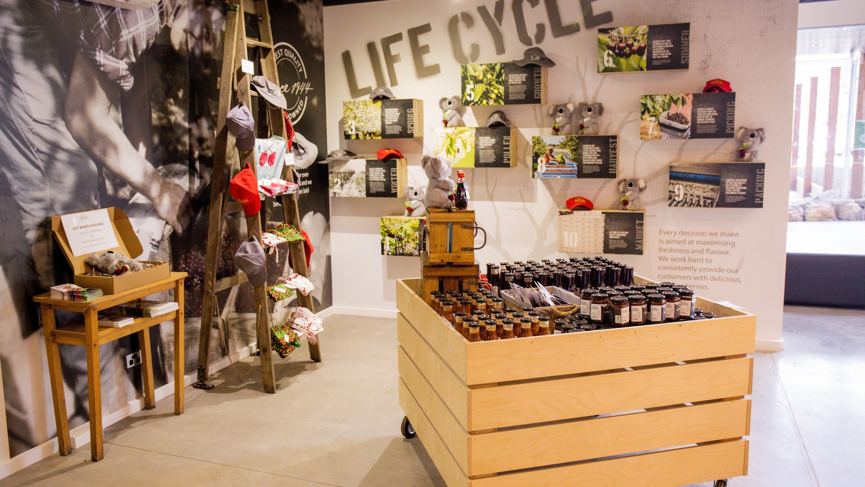 Visit Koala Cherries in Victoria, Australia - Experience the Best in ...