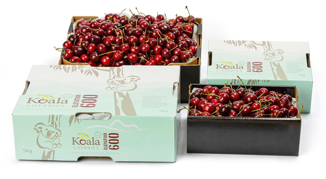 Koala Elevation Cherries | Premium Australian Cherries – Koala Cherries